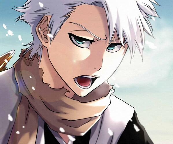 Toshiro Hitsugaya Timeskip