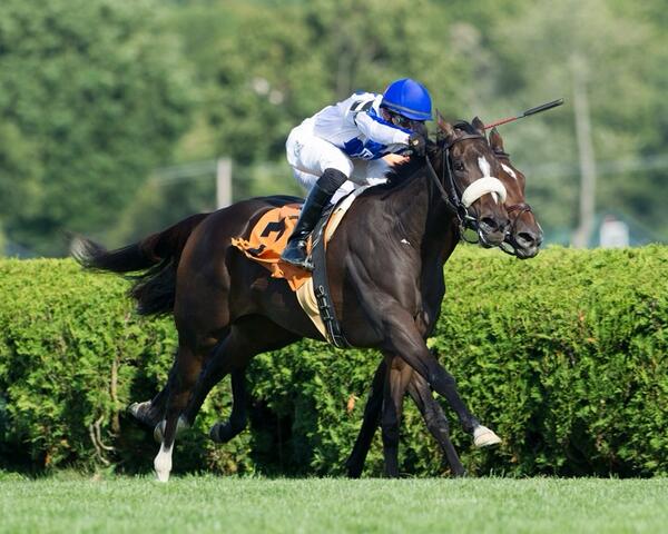 ANGLE – Canadian Thoroughbred