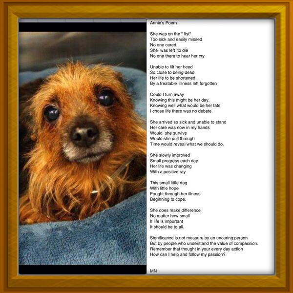 I Am An Animal Rescuer Poem