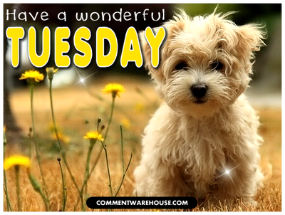 Have A Great Tuesday Dogs