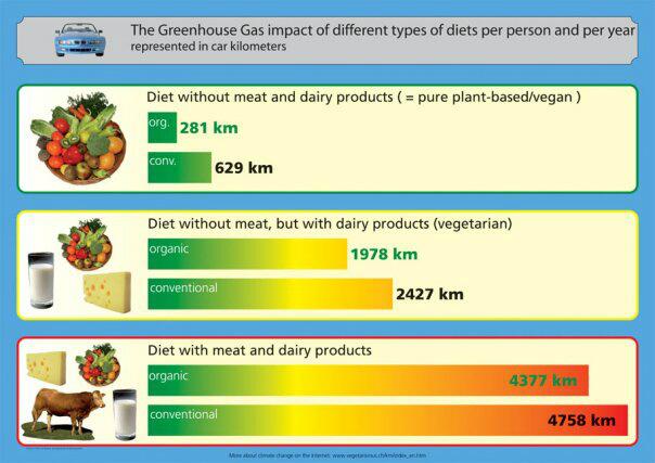 Vegetarian Vs. Meat Based Diet - Modus Operandi