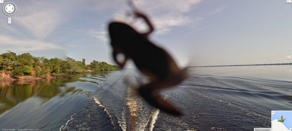 Caught on Google Maps | RealClearScience