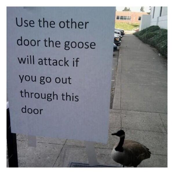 How a Horrible Goose Topped the Gaming Charts (BBC Untitled Goose Game ...