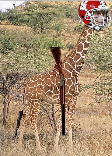 Your “Who’s That Mysterious Figure?” Sunday Night Football Open Thread ...