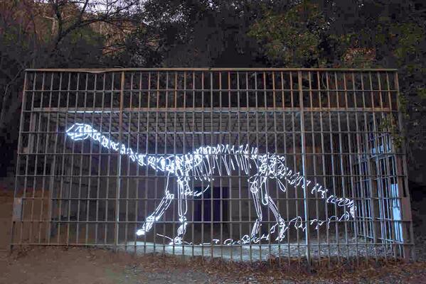 Barapasaurus Skeleton