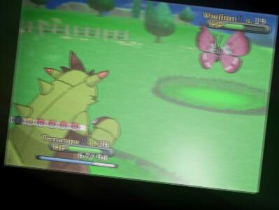 Pokemon X Chespin Final Evolution