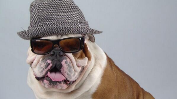 Simon (@Simon_McFarlane) | Twitter