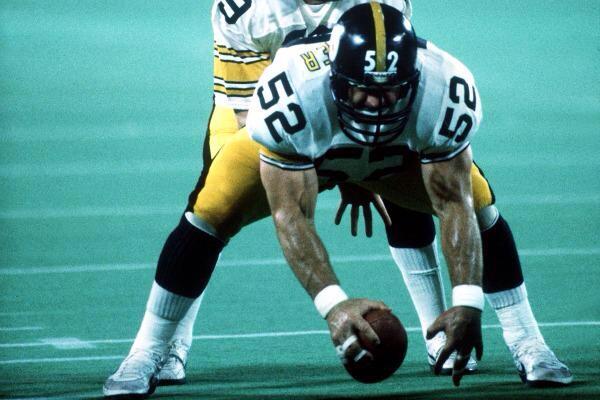 Mike Webster Arms