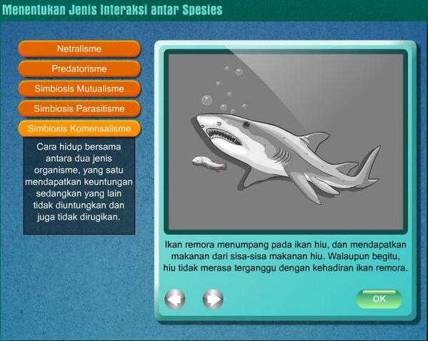 Simbiosis Komensalisme Ikan Hiu Dan Ikan Remora