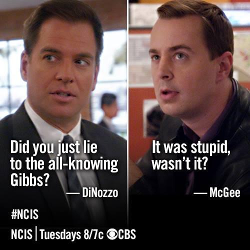 Ncis Meme Gibbs