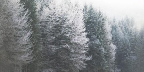 Twitter Headers Snow