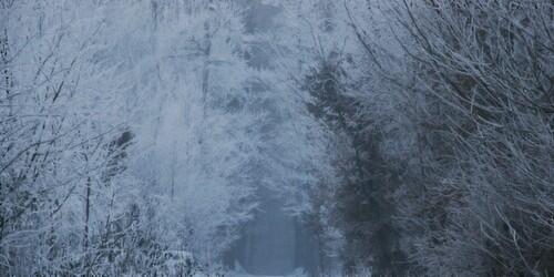 Snow Twitter Backgrounds