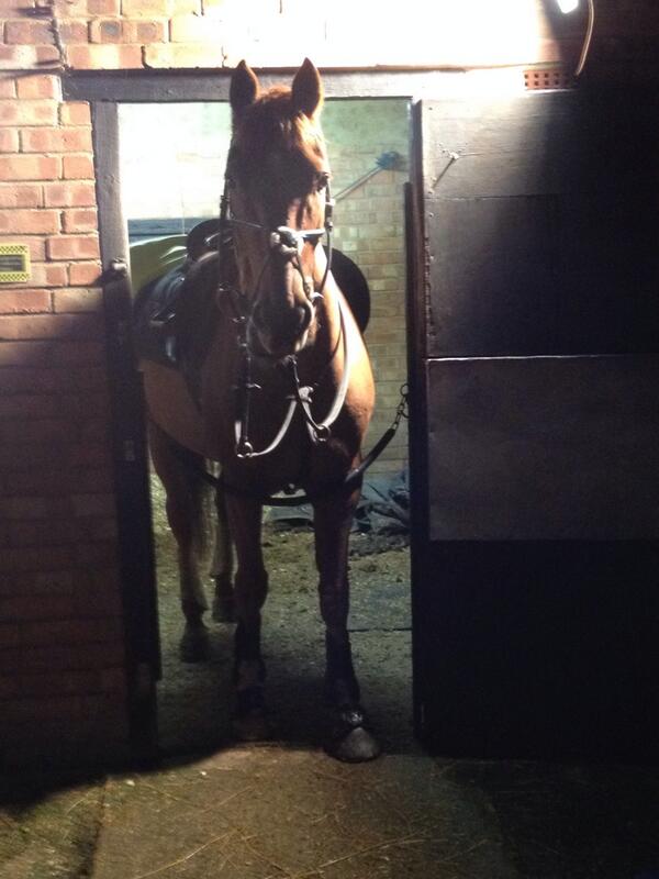 Danielle Rees (@dani_vicki_) | Twitter