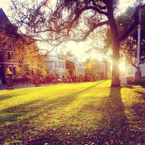 Blogside Manner: A Day in the Life of a Brown (PLME) Student – The ...