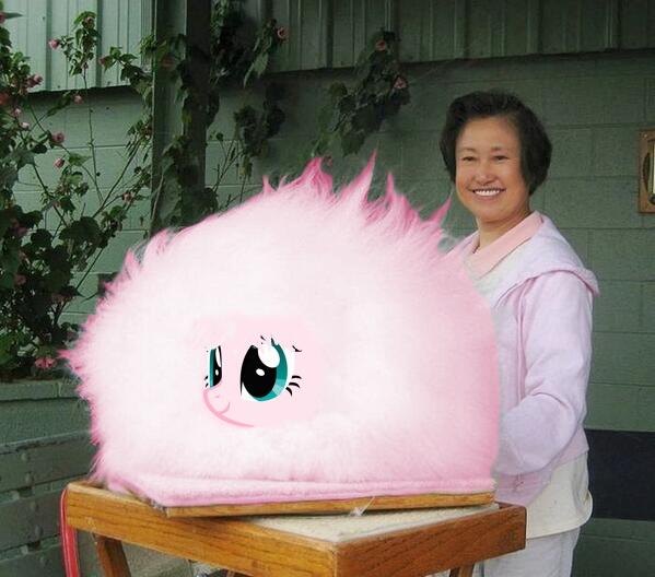 Fluffle Puff Toy