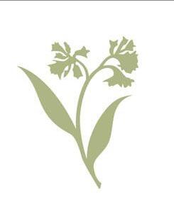 Aveda Comfrey Flower