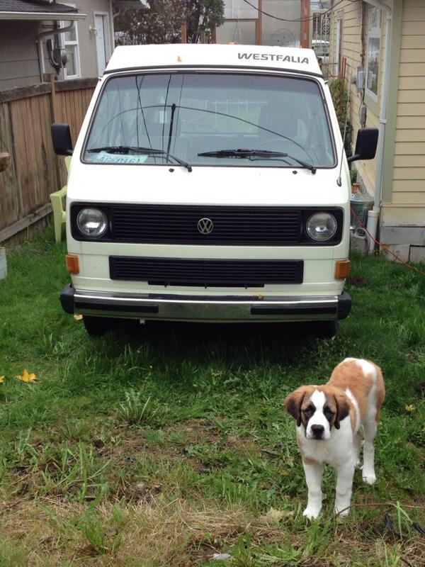 TheSamba.com :: Vanagon - View topic - Let's see pics of your dogs in ...