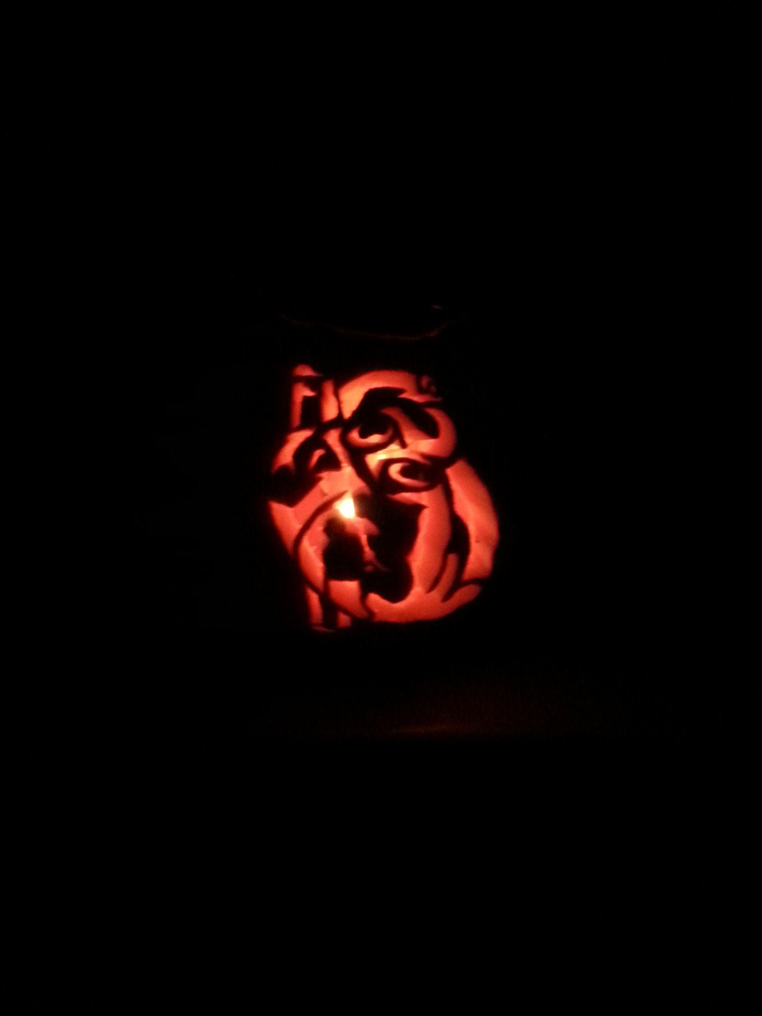 Anatomical Heart Pumpkin Carving