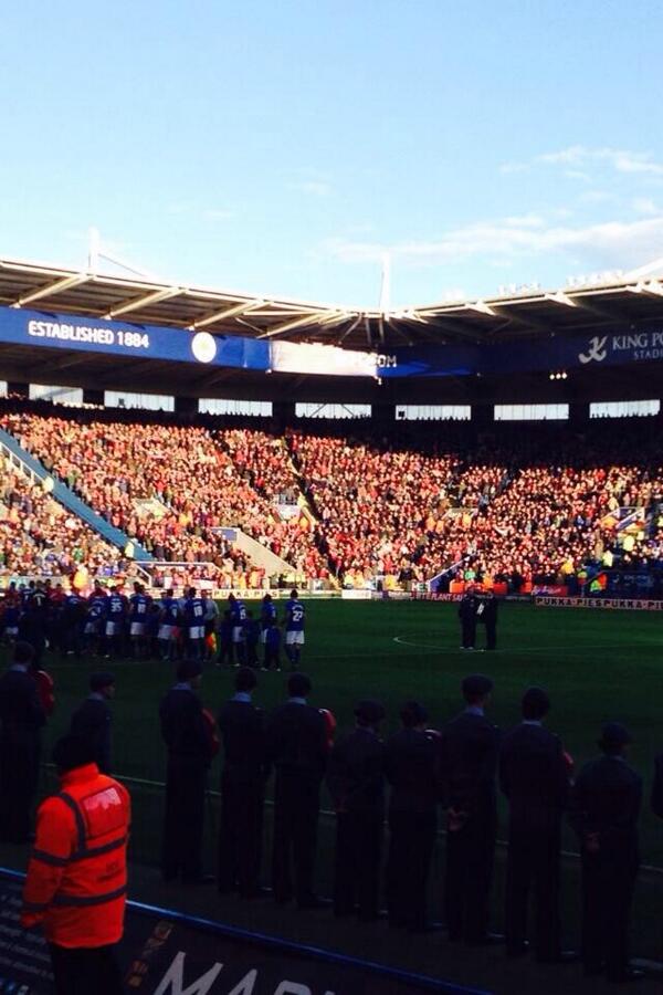 Foxes tamed by Trees | Filbo Spirit