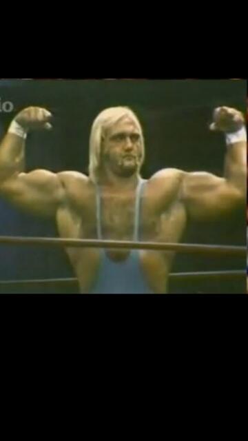 Hulk Hogan 24 Inch Pythons
