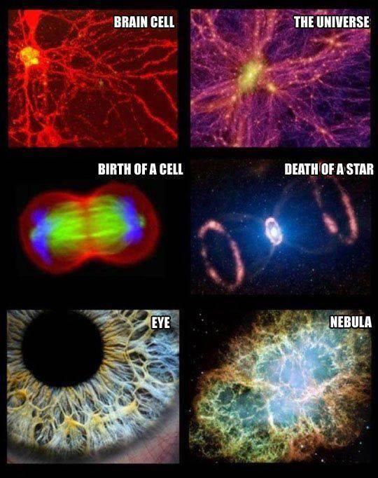 Birth And Death Of Stellar Nebula Information