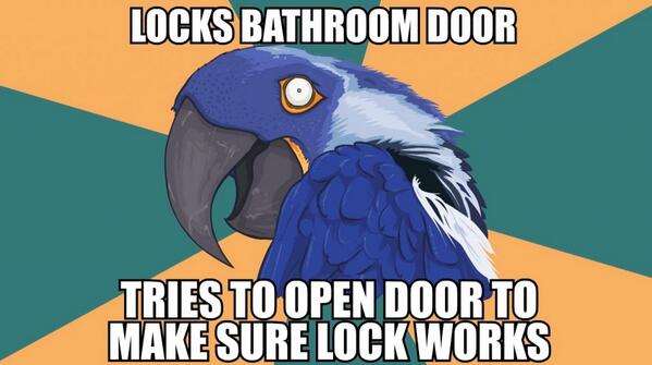Paranoid Bird Memes