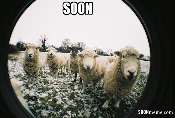 Soon Sheep Meme