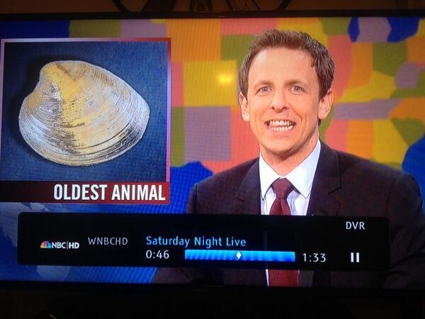 Ming the clam - soundsopec