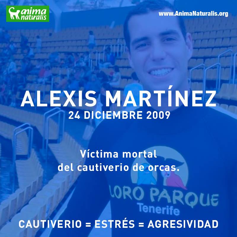 Alexis Martinez Loro Parque