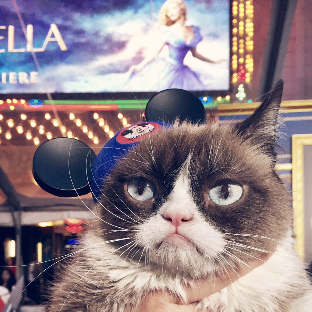 Grumpy Cat Disney