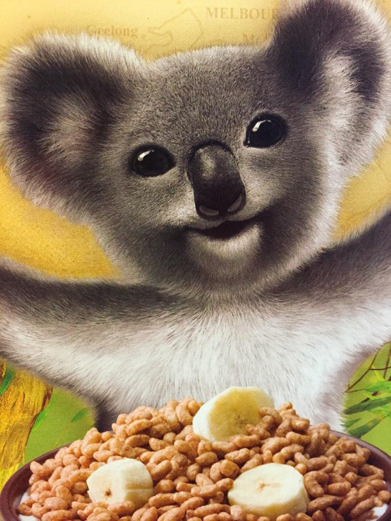 Creepy Koala