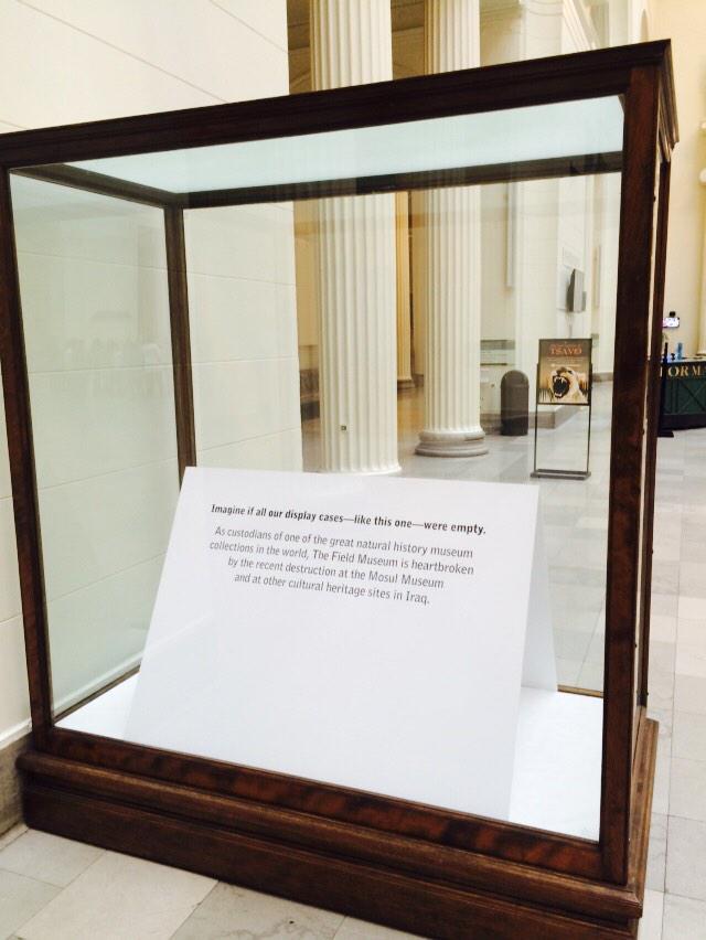 Empty Museum Display Case