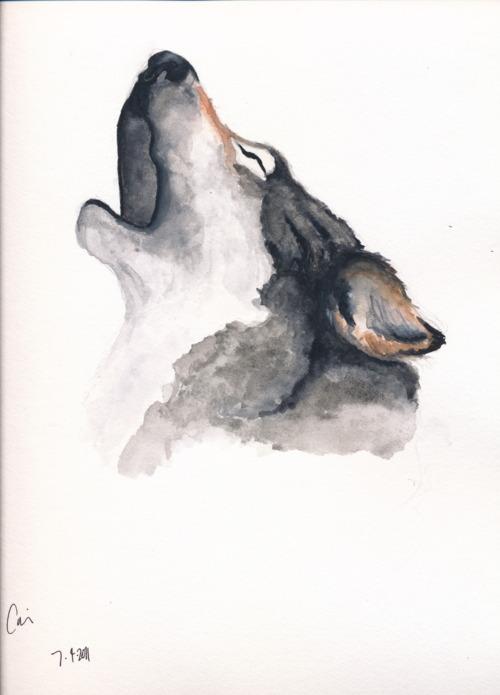 Corporate Pixie (@CorporatePixie) | Twitter