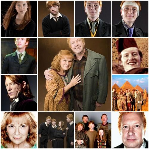 All The Weasley Family