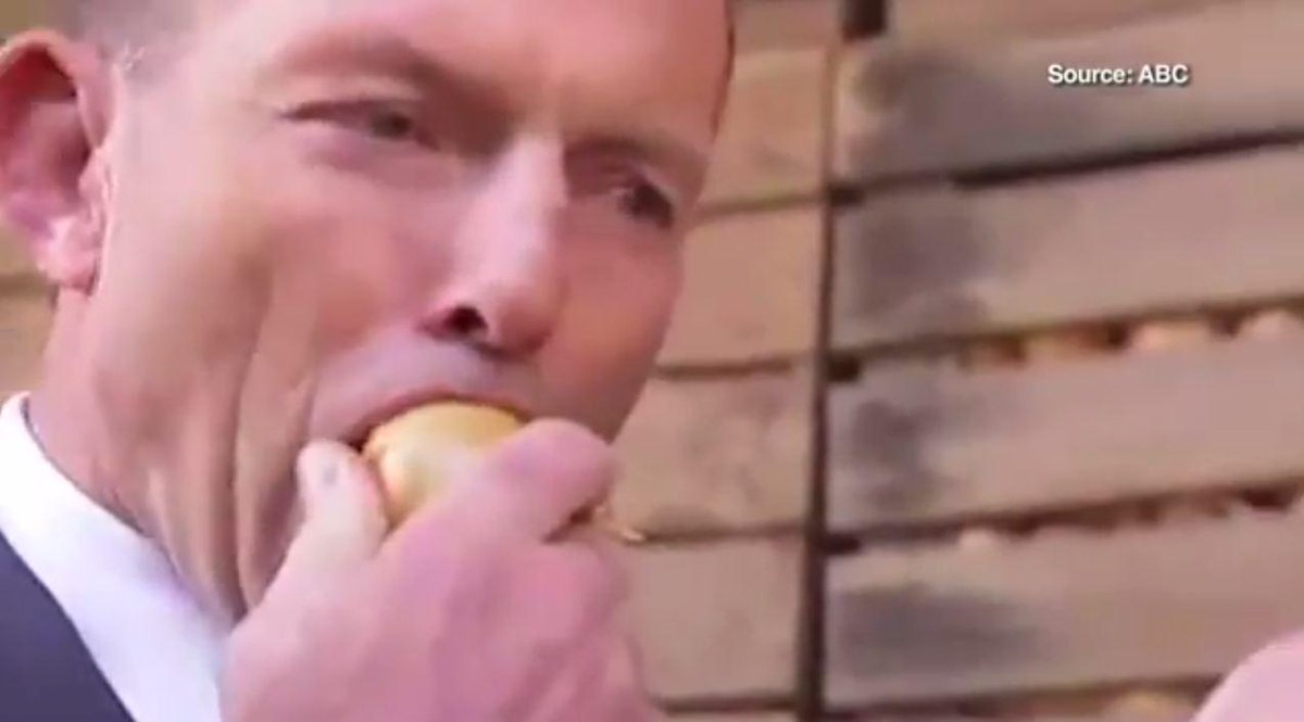Just Tony Abbott eating a raw onion, skin and all | The Independent ...