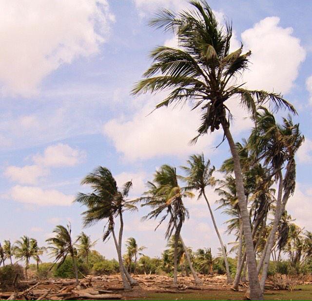 New Goobweyn Port. - SomaliNet Forums