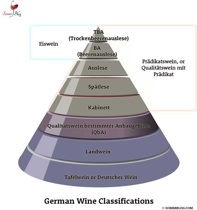 Essai de synthèse sur les vins de Moselle allemande - La Passion du Vin