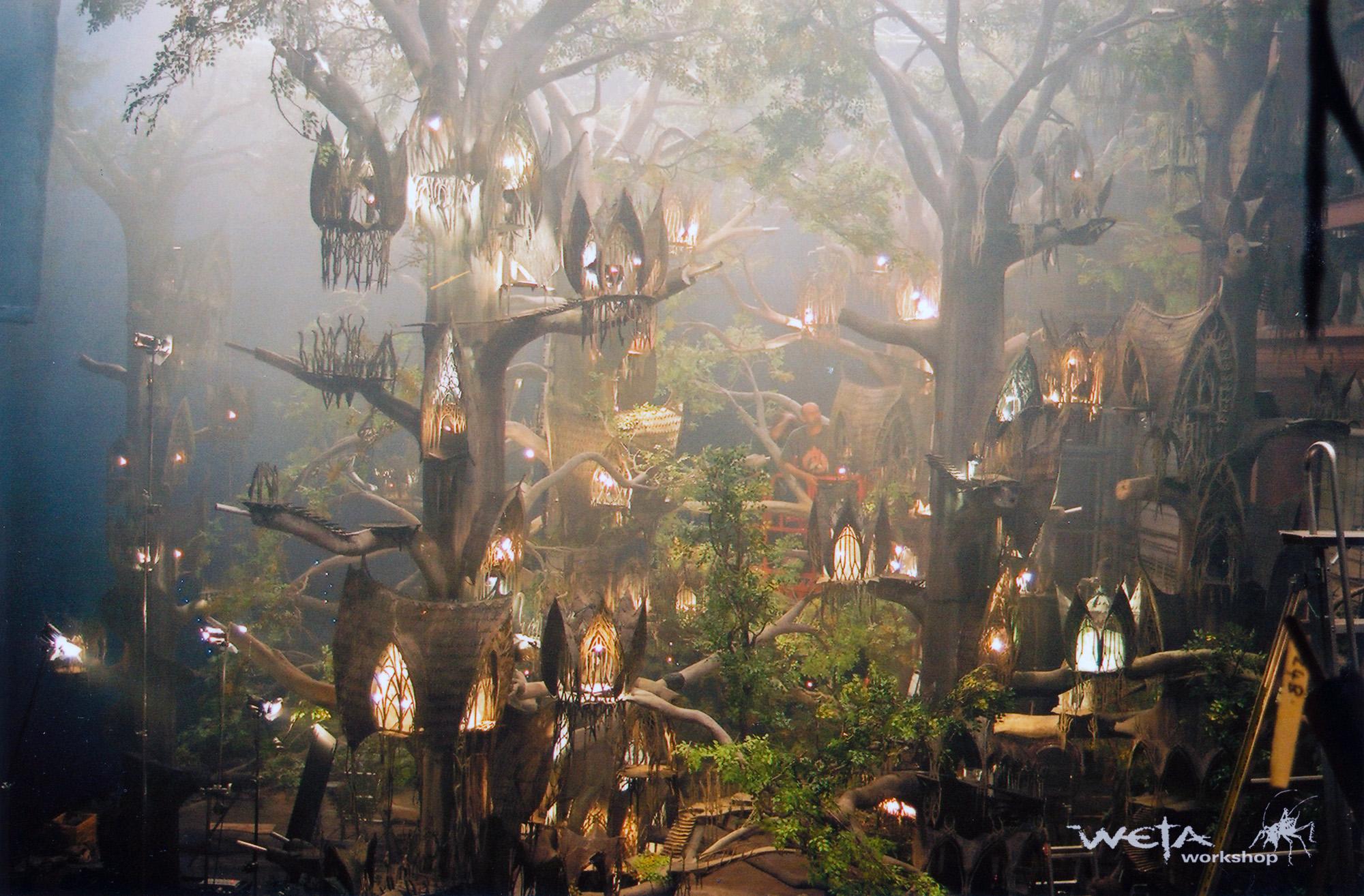 Lothlorien Lord Of The Rings