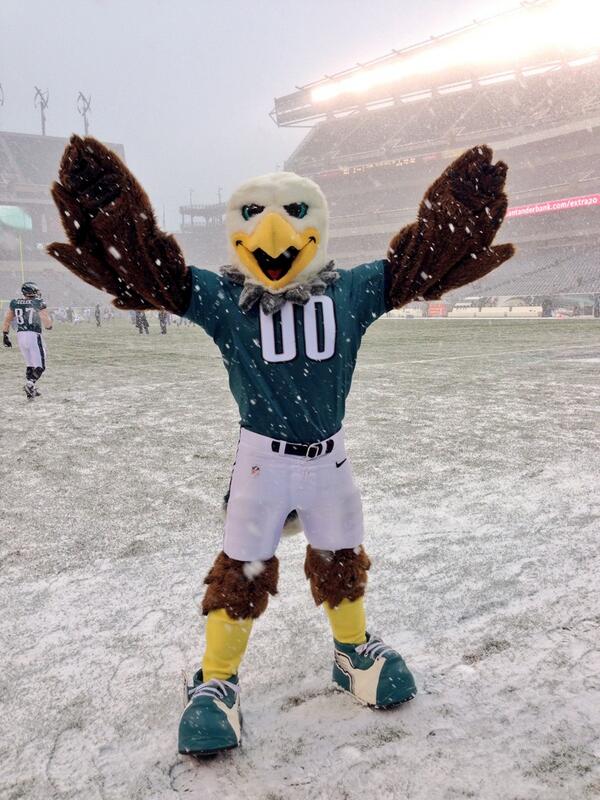 Eagles Football Snow