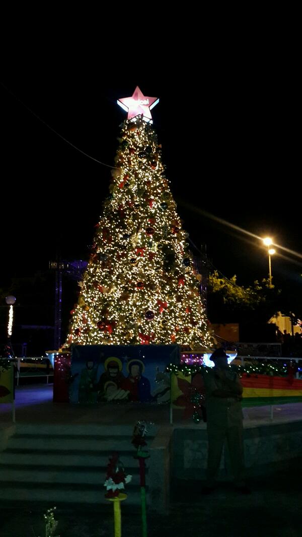 Jamaica Christmas Tree