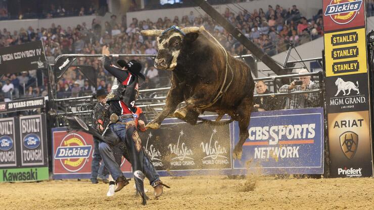 Pbr Bull Riding Wrecks