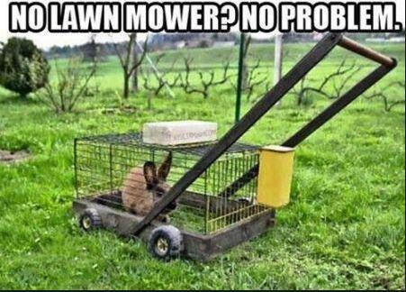 Mower Memes It's Not How Fast You Mow, It's How Well You Mow 'em Down