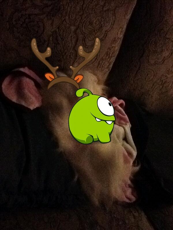 Leslie Hackney (@LCHackney) | Twitter