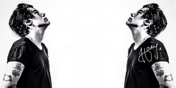 Harry Styles Signature Header