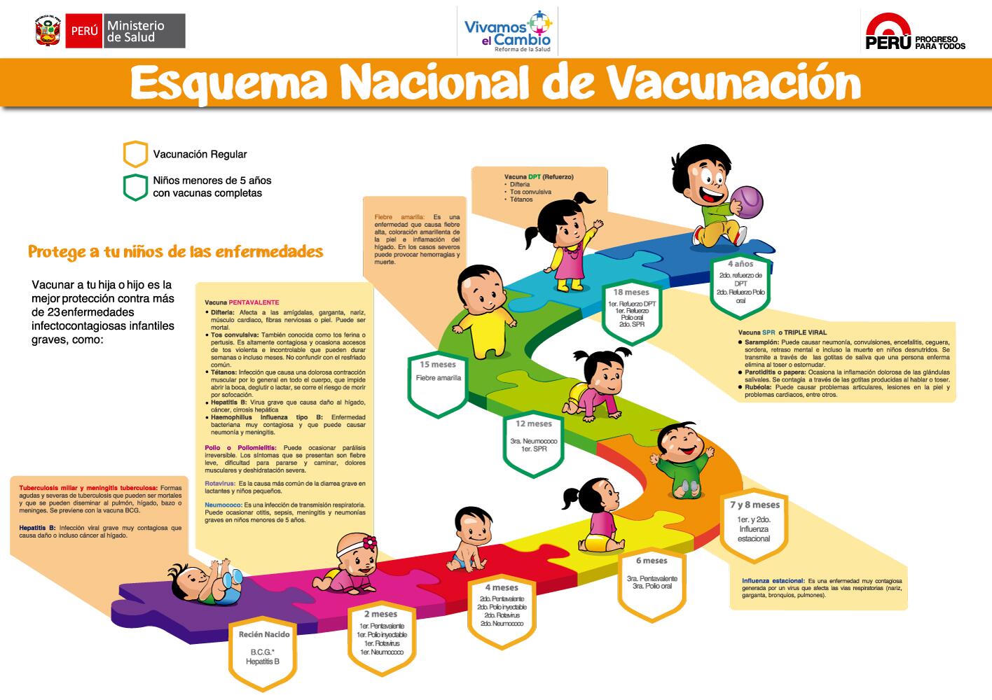 Ministerio de Salud on Twitter: "El esquema nacional de #vacunación en Perú consta de 15 vacunas ...