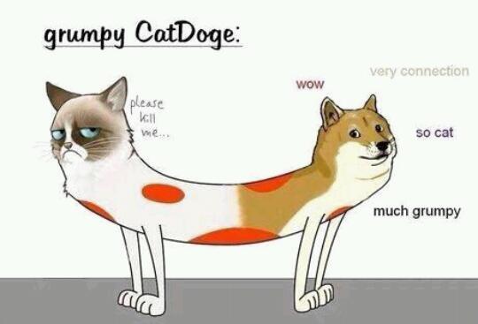 Has Science Gone Too Far Doge