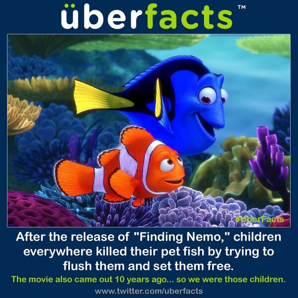 Finding Nemo Coral Death