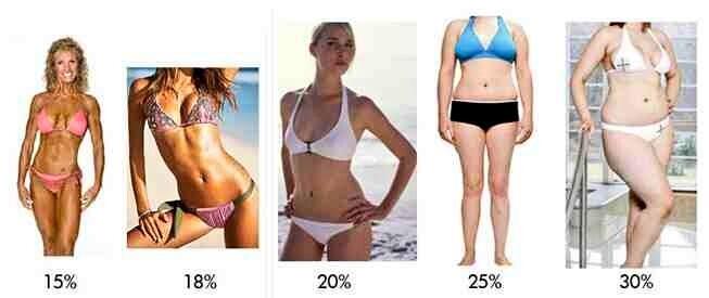 Same Weight Different Body Composition Pictures