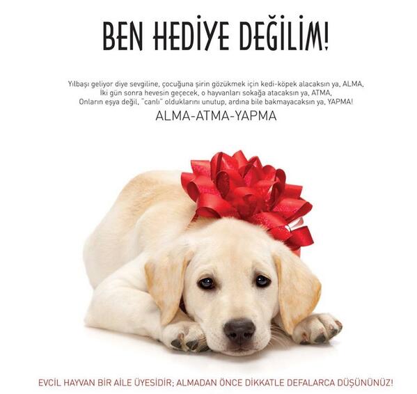 Sevim Sevgi (@45_sevim) | Twitter