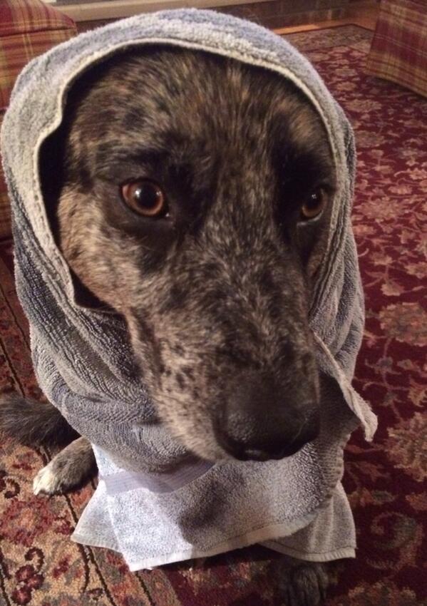 Jade Armijo (@vampjade) | Twitter